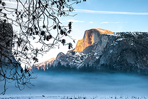 Wenda Pyman | Moraga Art Gallery